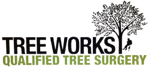 Oak Tree – Tree Works